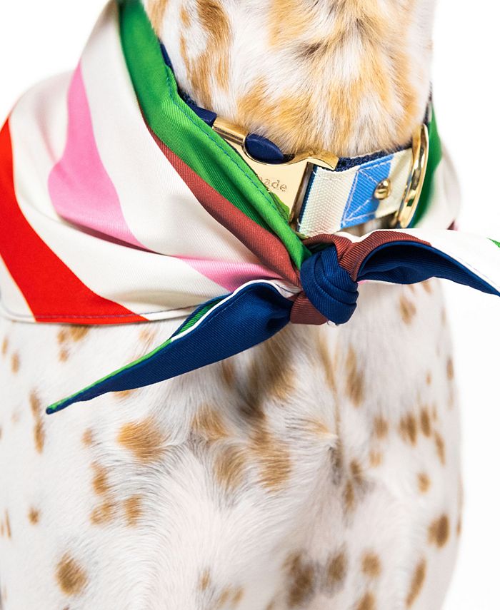 kate spade new york Adventure Stripe Dog Bandana - Macy's