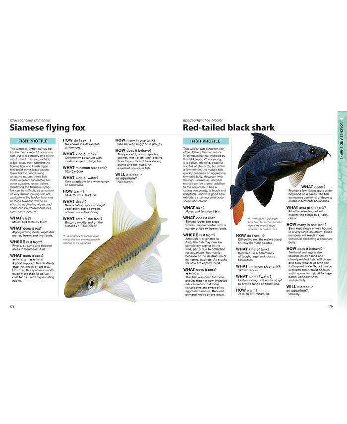 Barnes & Noble What Freshwater Fish?- A Buyer's Guide to Tropical ...