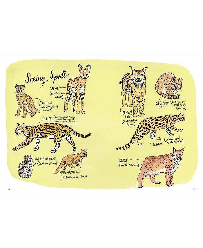 Barnes & Noble Wildlife Anatomy- The Curious Lives & Features of Wild ...