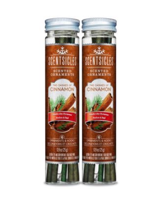 National Tree Company Scentsicles, Scented Ornaments, 6 Count Bottles ...
