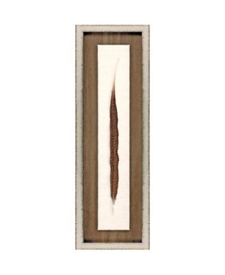 Pheasant Feather Framed Art - Macy's