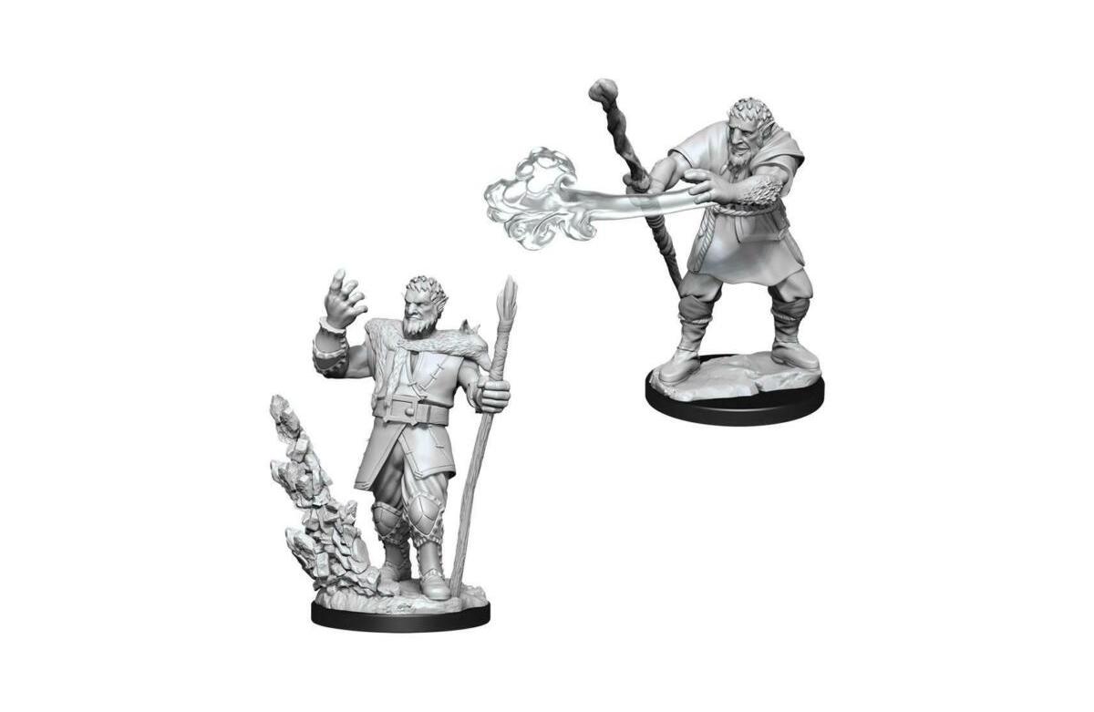 Click here for Dungeons and Dragons Male Firbolg Druid Nolzurs Mi... prices