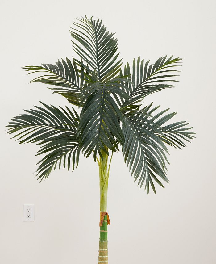 Nearly Natural 60" Artificial Cane Palm Tree No Pot - Macy's