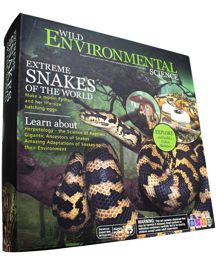 WILD! Science Wild Environmental Science - Extreme Snakes of the World ...