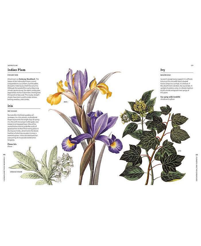 Barnes & Noble Flowers and Their Meanings- The Secret Language and ...