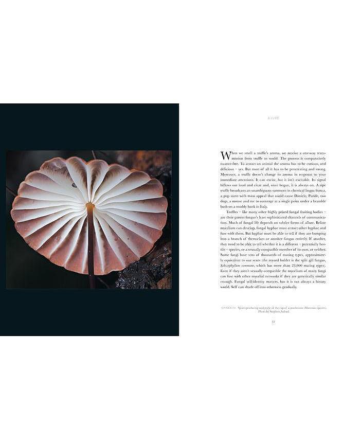 Barnes & Noble Entangled Life- The Illustrated Edition- How Fungi Make ...