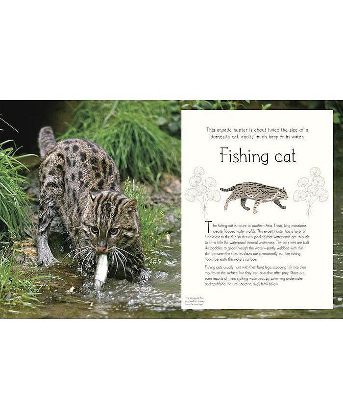 Barnes & Noble An Anthology of Aquatic Life by Sam Hume - Macy's