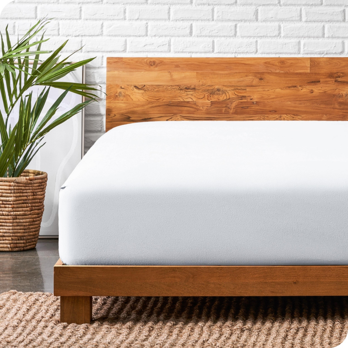 Click here for Bare Home Cotton Flannel Fitted Sheet  Full - Whit... prices