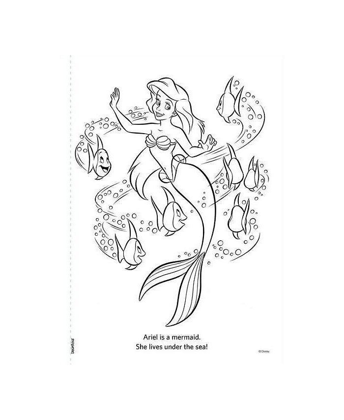 Barnes & Noble Disney Little Mermaid - Enchanted Adventures ...