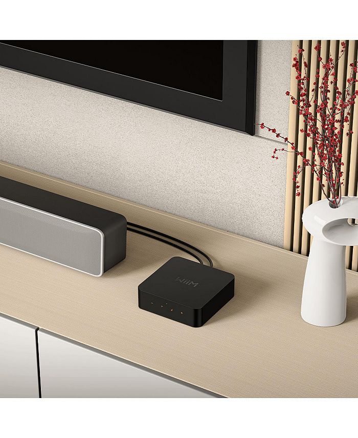 WiiM Pro Multiroom Streamer and Preamp with Built-In DAC, AirPlay 2 ...