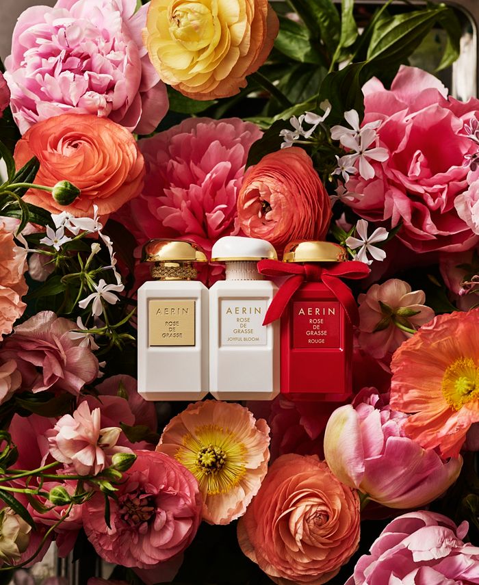 AERIN Rose Premier Collection - Macy's