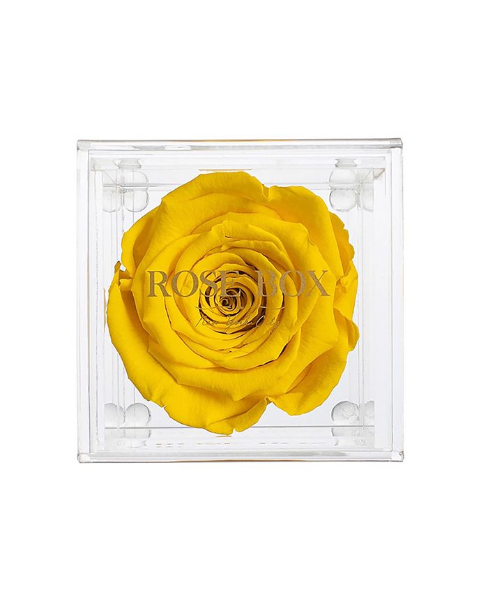 Rose Box NYC Jewelry box of Bright Yellow Long Lasting Preserved Real ...
