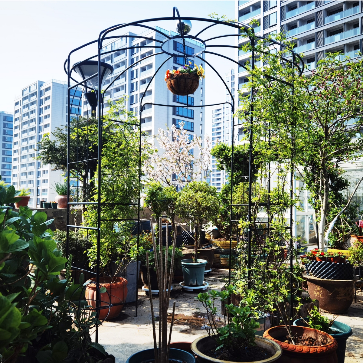 Click here for Streamdale Furniture Birdcage Shaped Metal Garden... prices
