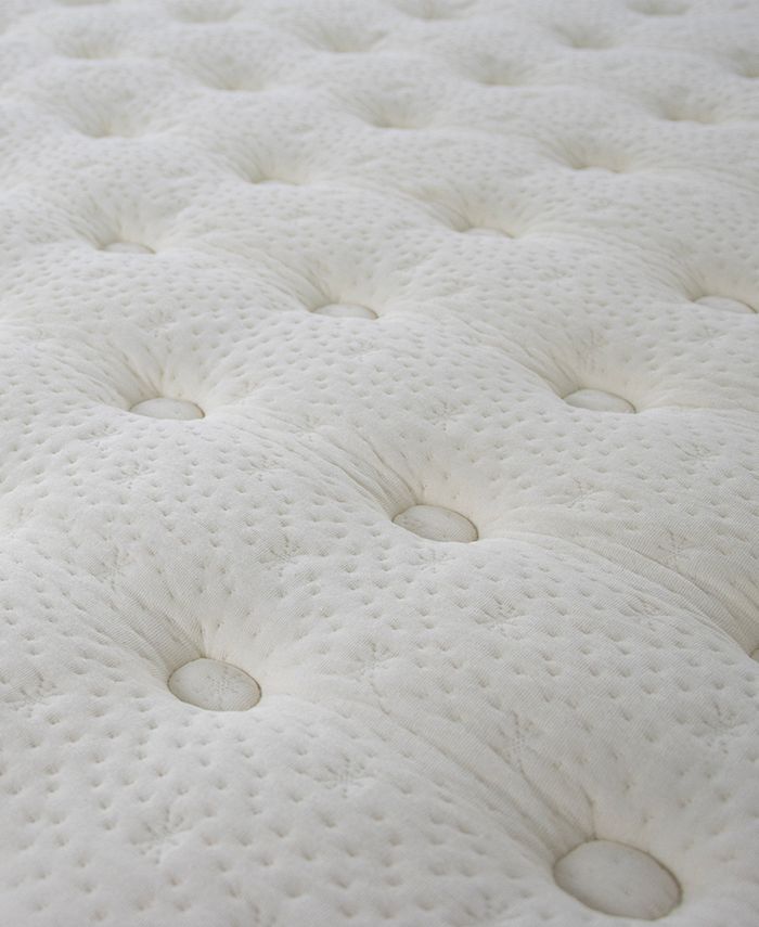 Paramount Nature Spa Celestial 2.0 11" Extra Firm Mattress-Twin ...