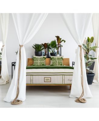 Paramount Nature Spa Jasmine 15" Ultra Plush Eurotop Mattress Set-Queen ...