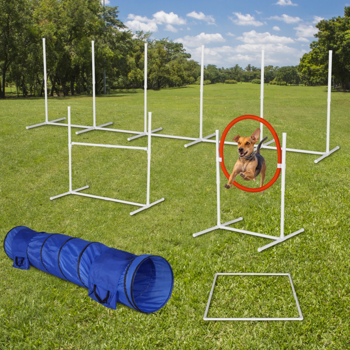 Click here for Streamdale Furniture 6Pack Dog Agility Training Eq... prices