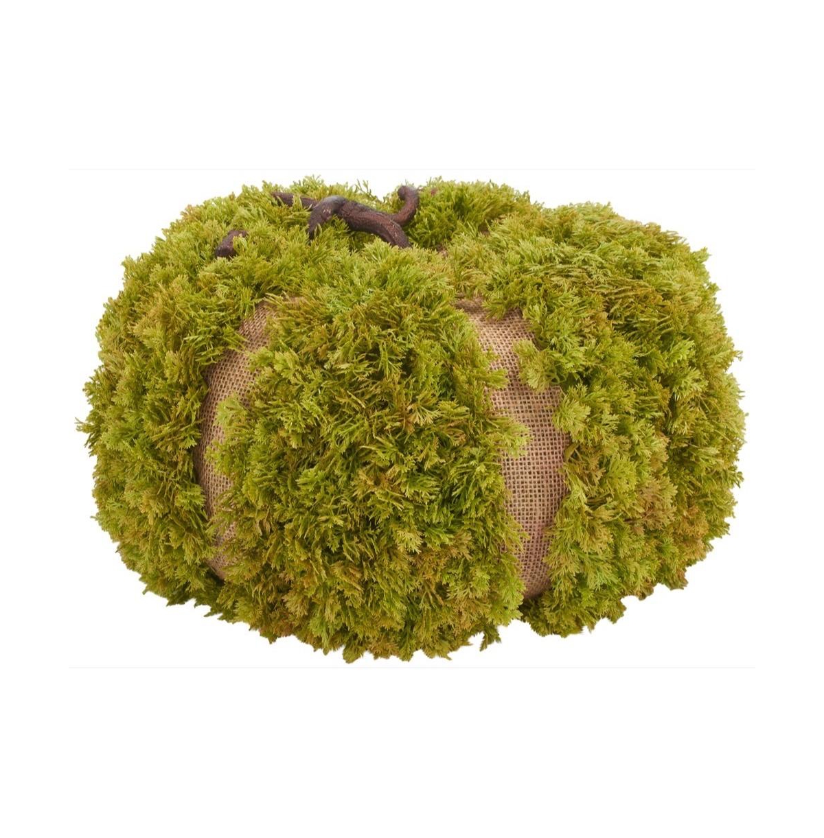 Click here for Safavieh Faux 15 Inch Moss Pumpkin - Green prices