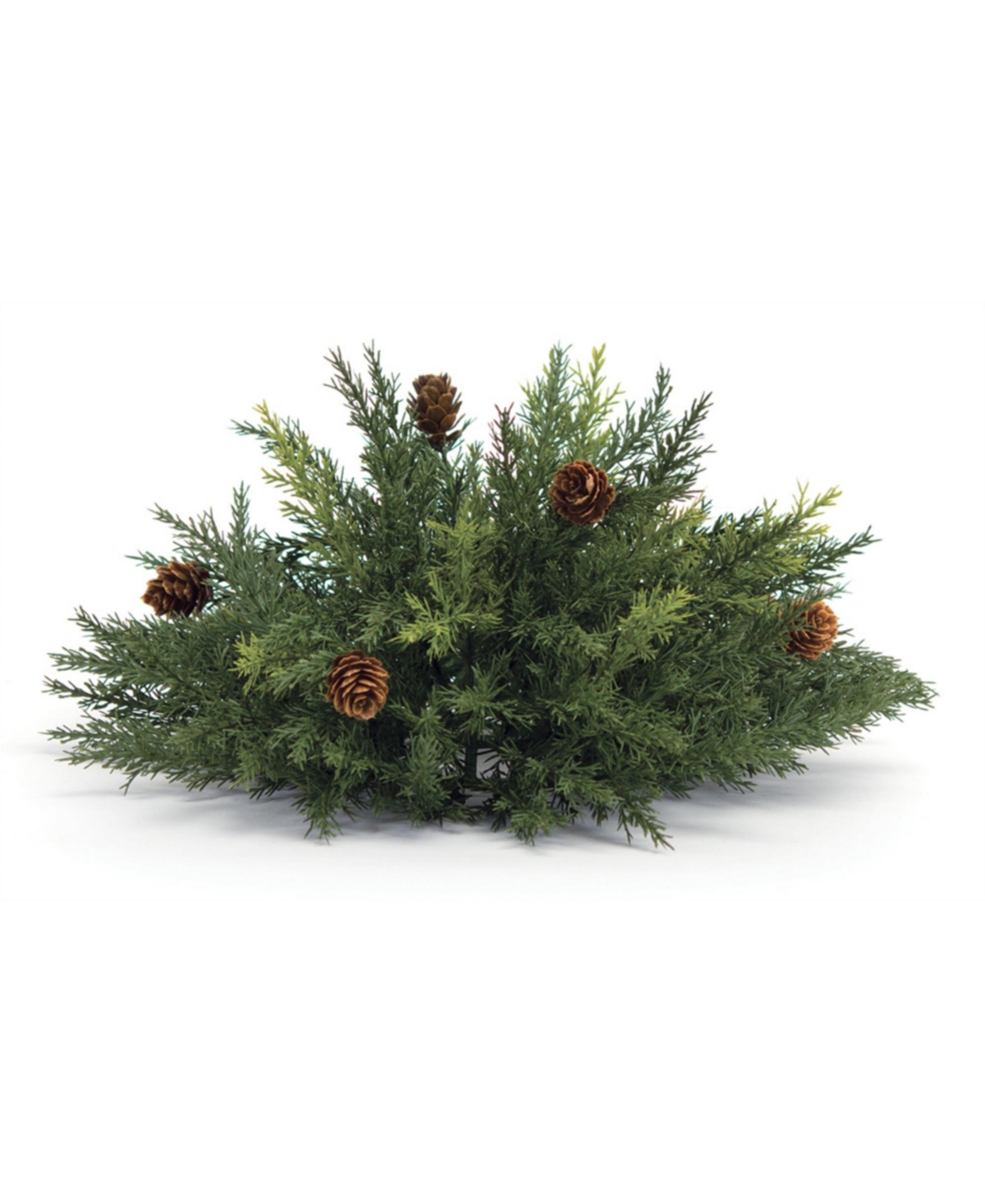 Click here for Arborvitae Half Orb - Green prices