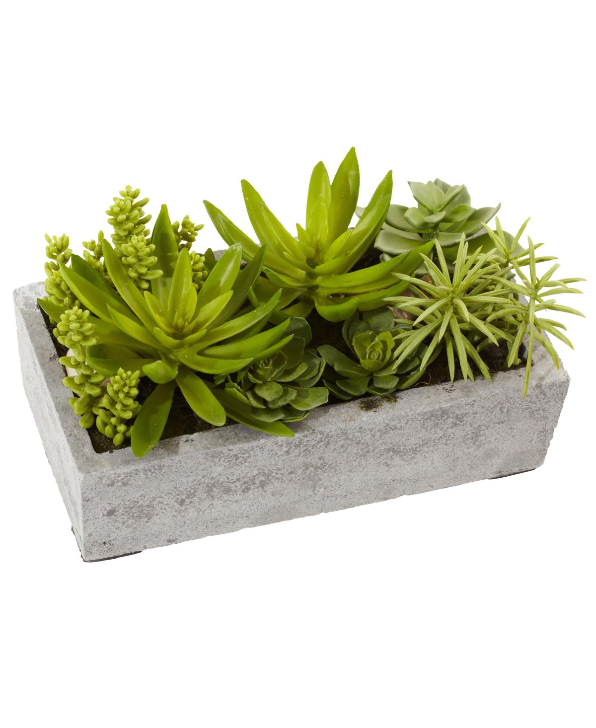 Click here for Slickblue Succulent Garden in Concrete Planter Mod... prices