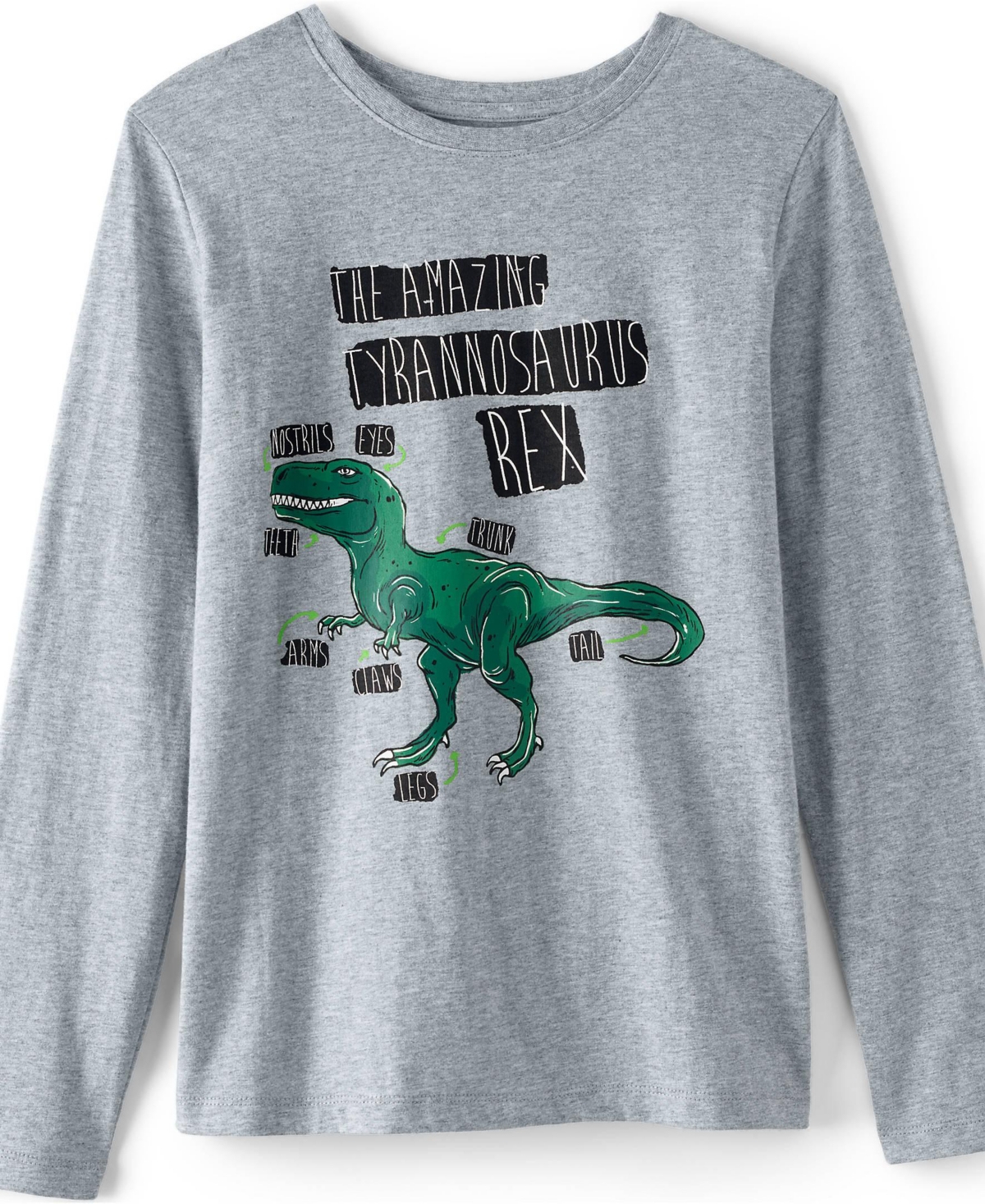 Click here for Lands End Big Boys Husky Long Sleeve Graphic Tee -... prices