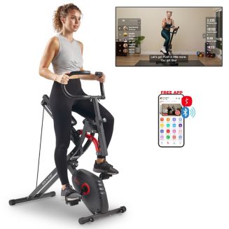 Sunny Health & Fitness Upright Row-N-Ride Bike - 2-in-1 Magnetic Rowing ...