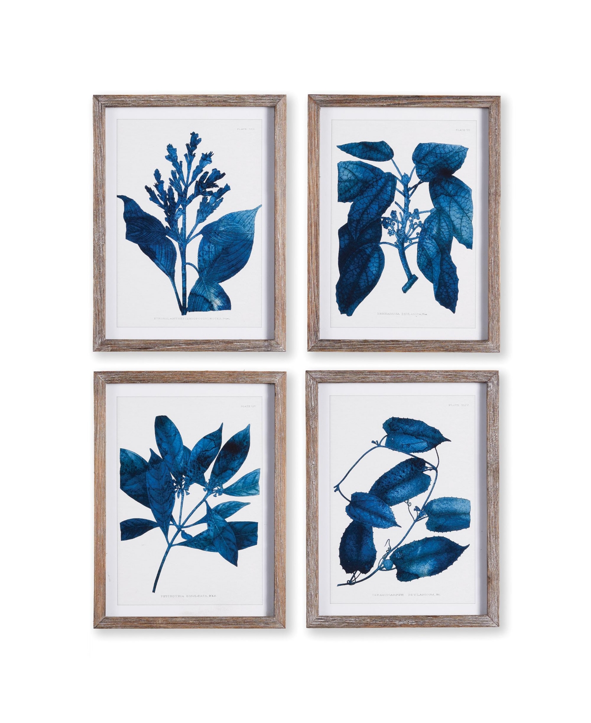 Click here for Napa Home & Garden Indigo Botanicals Set of 4 - Bl... prices