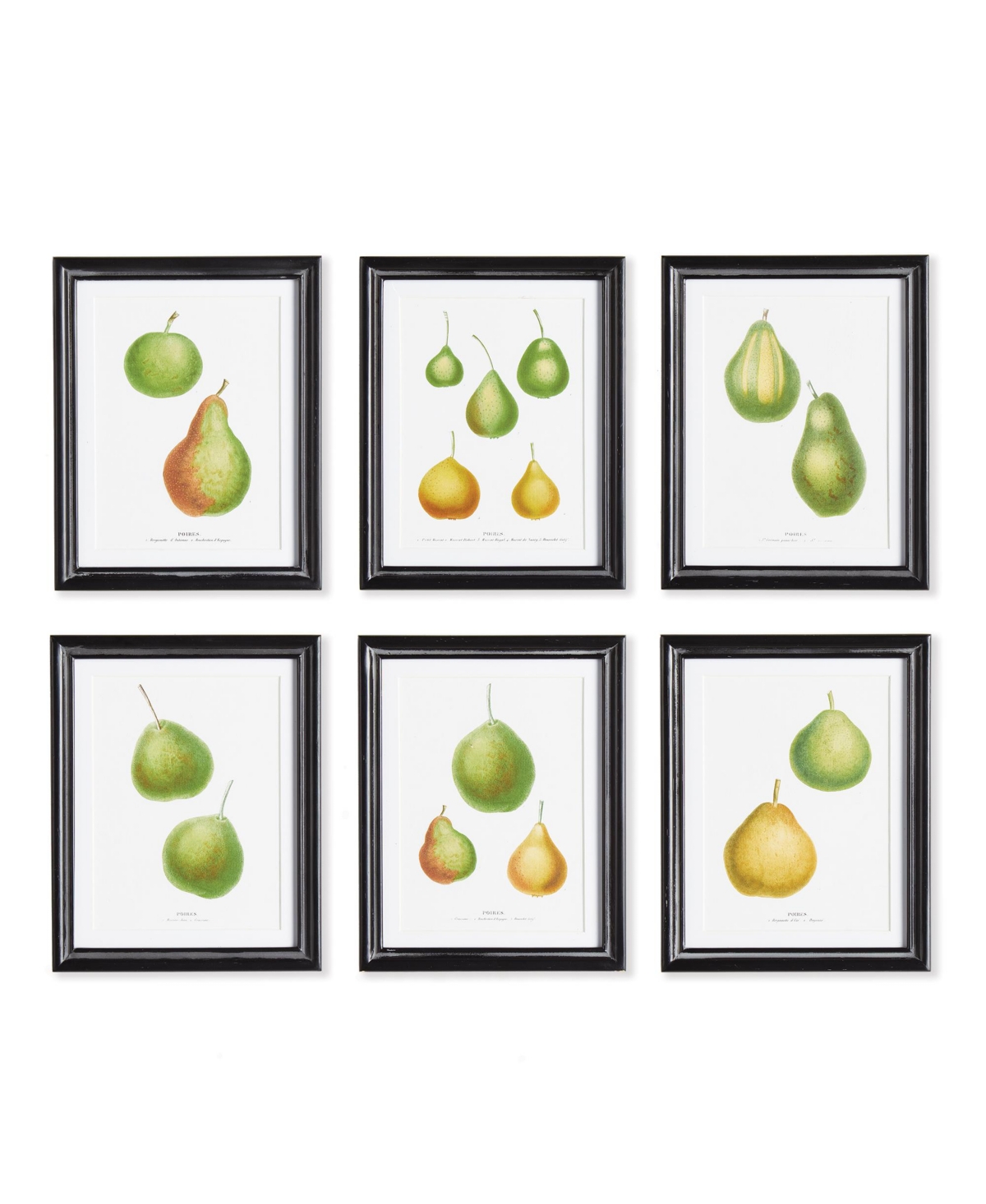 Click here for Pear Study  Set Of 6 Wall Art - Green prices