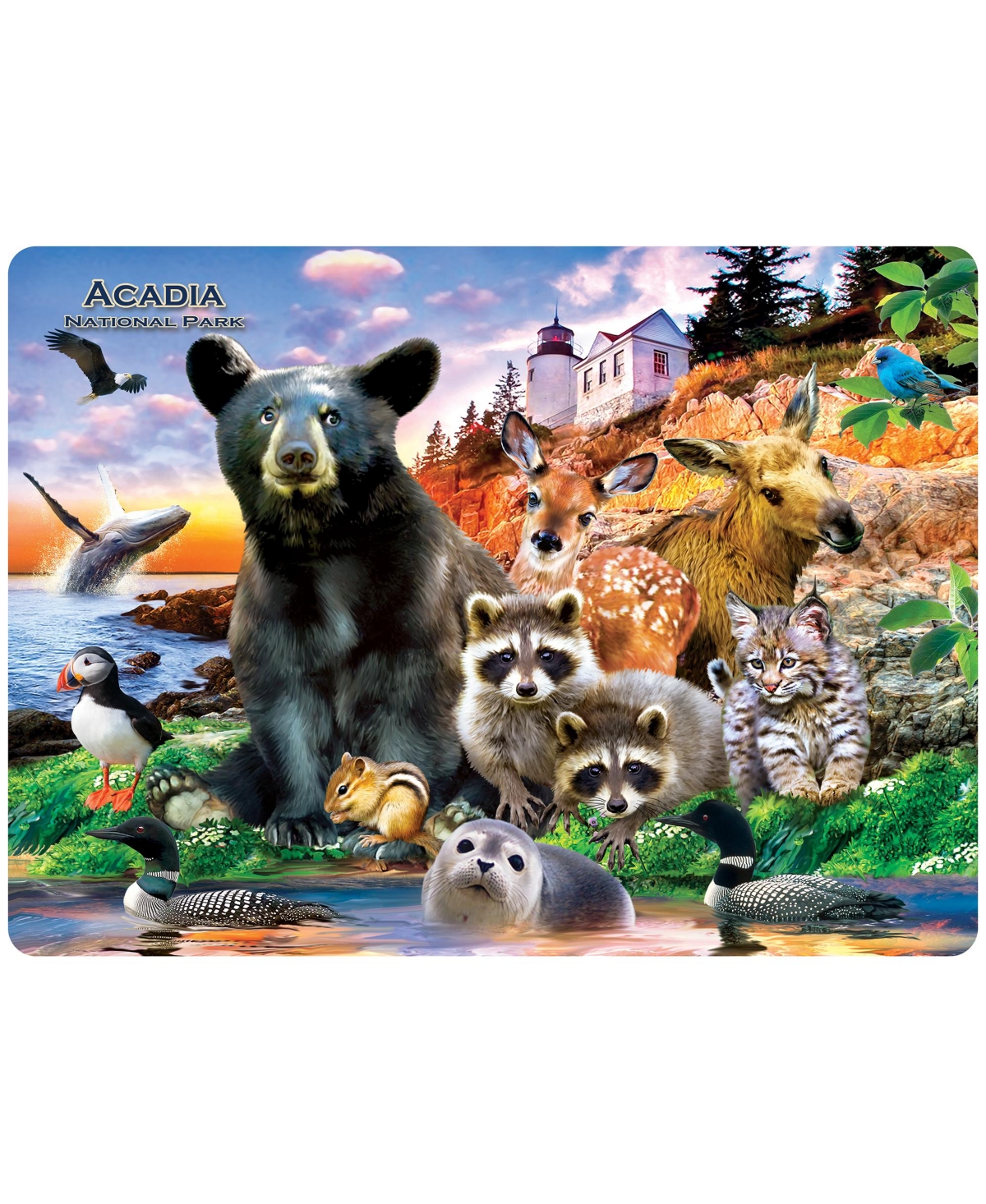 Click here for Masterpieces Acadia National Park 48 Piece Tray Pu... prices