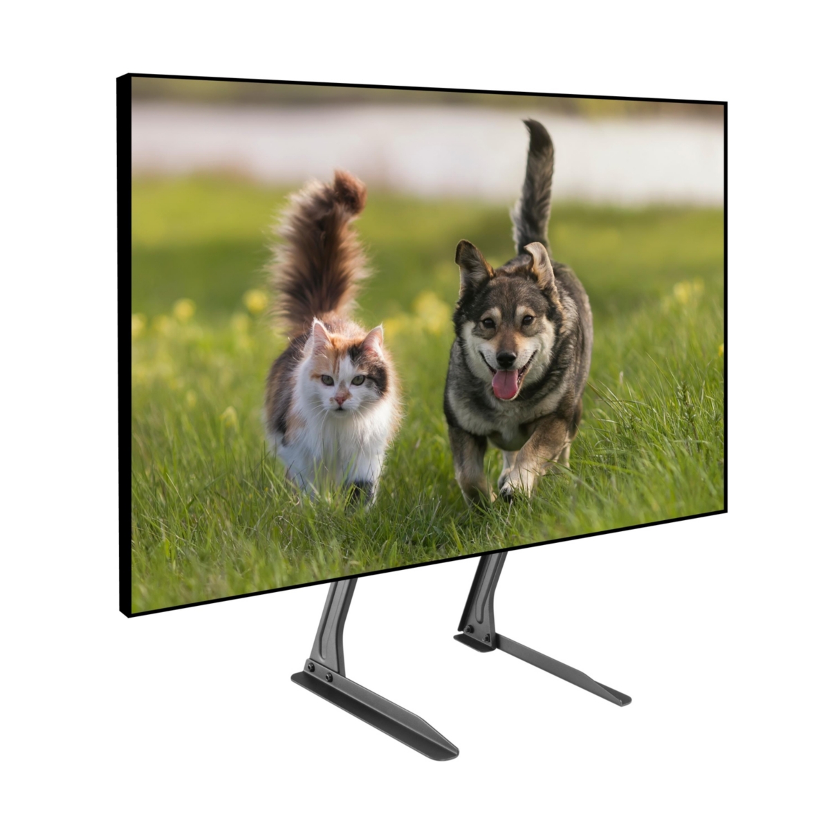 Click here for ProMounts Rolling Tv Stand with Swivel for 32-72 S... prices