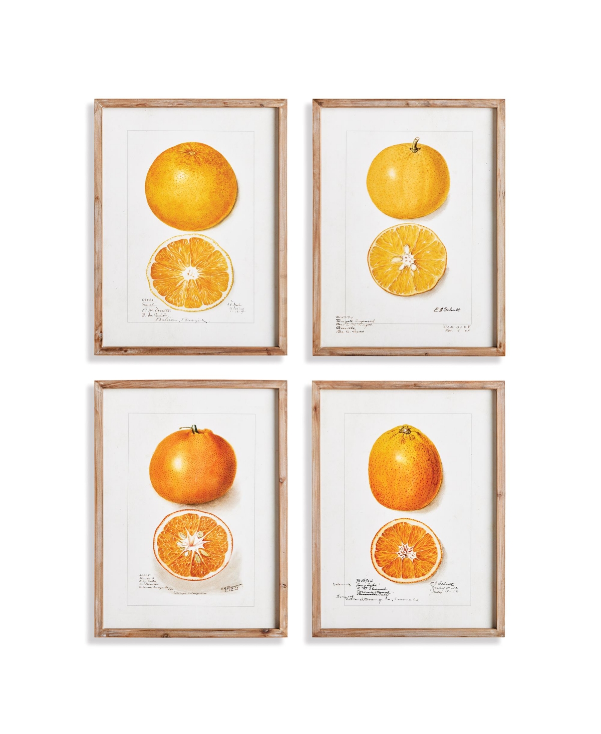 Click here for 17.75W x 1D x 23.5H Citrus Study Framed Wall Art S... prices