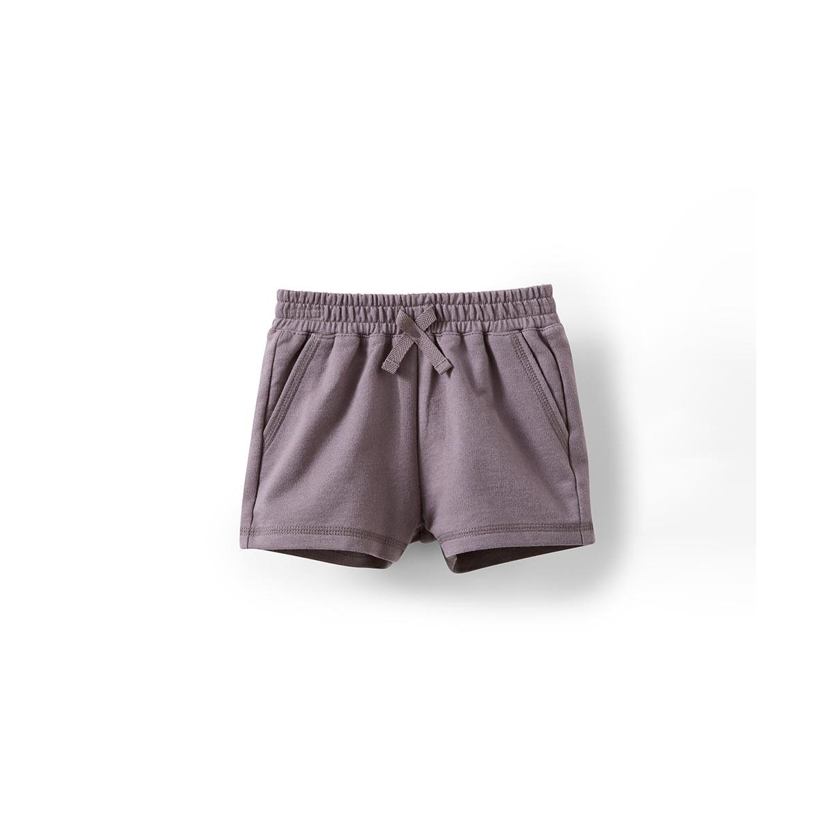 Click here for Cotton On Baby Boys Blake Short - Rabbit grey prices