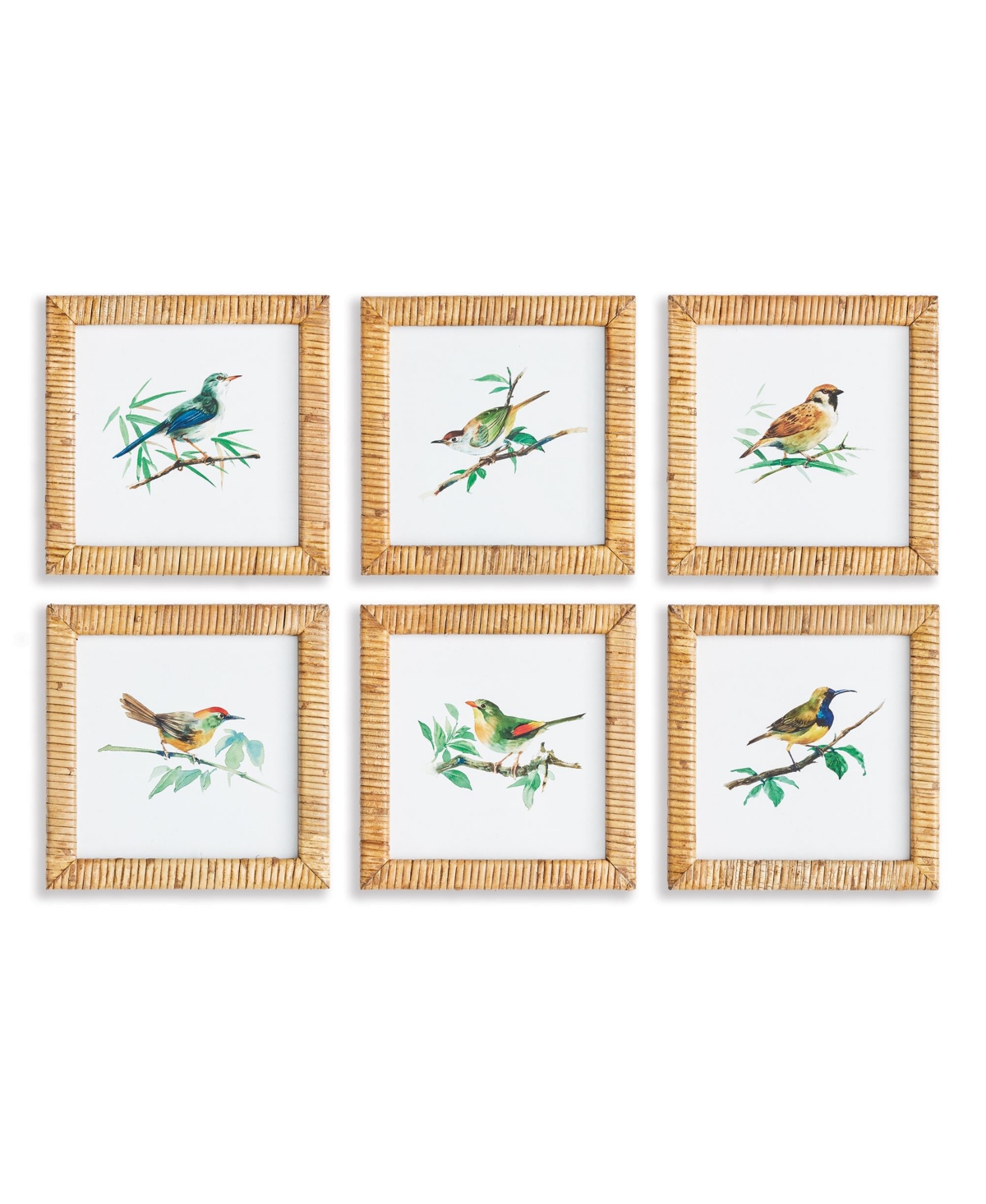 Click here for Songbird Petite Prints St/6 - Green prices