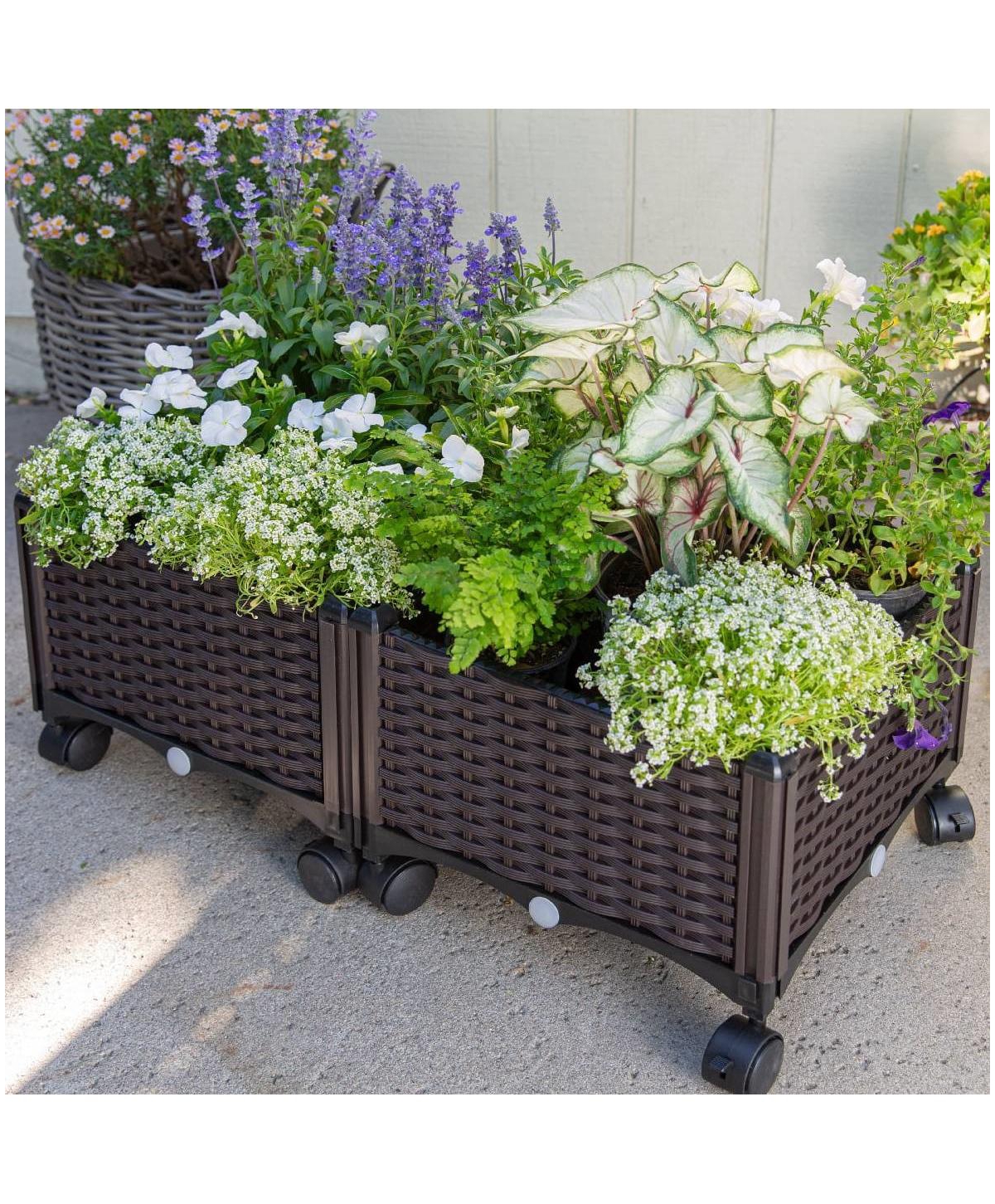 Click here for Modern 2-Piece Raised Garden Planter Box on Wheels... prices