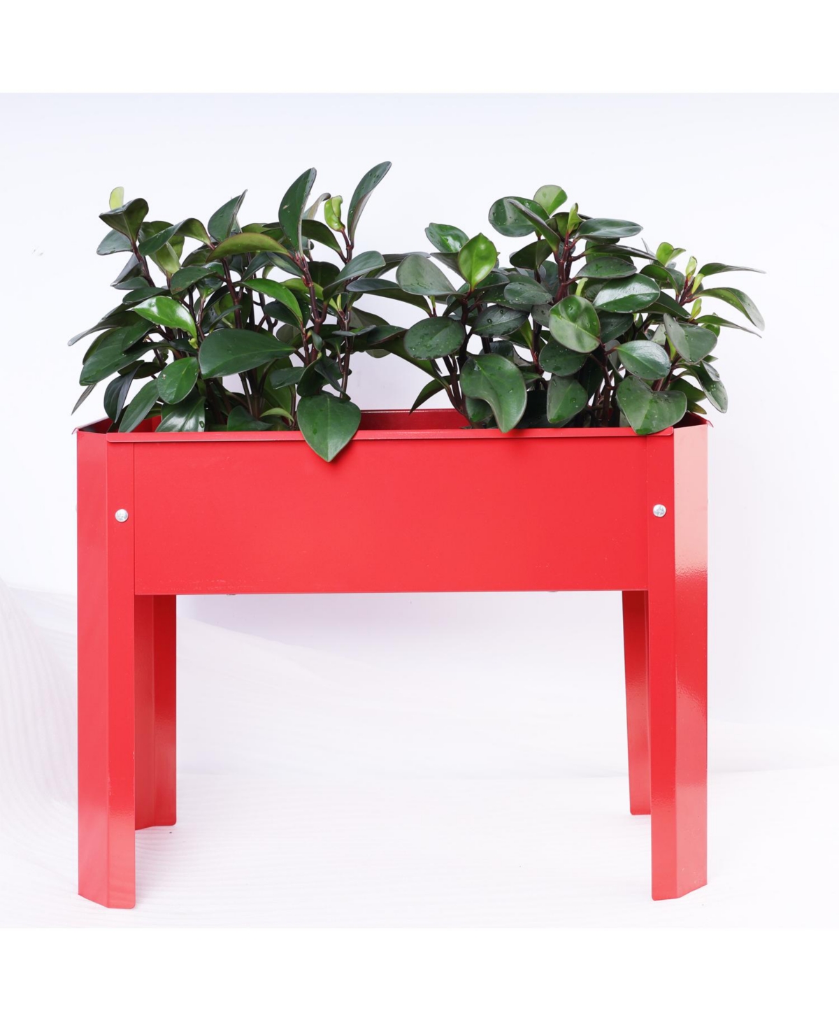 Click here for Mini Elevated Garden Bed - Metal Planter Box - Red prices