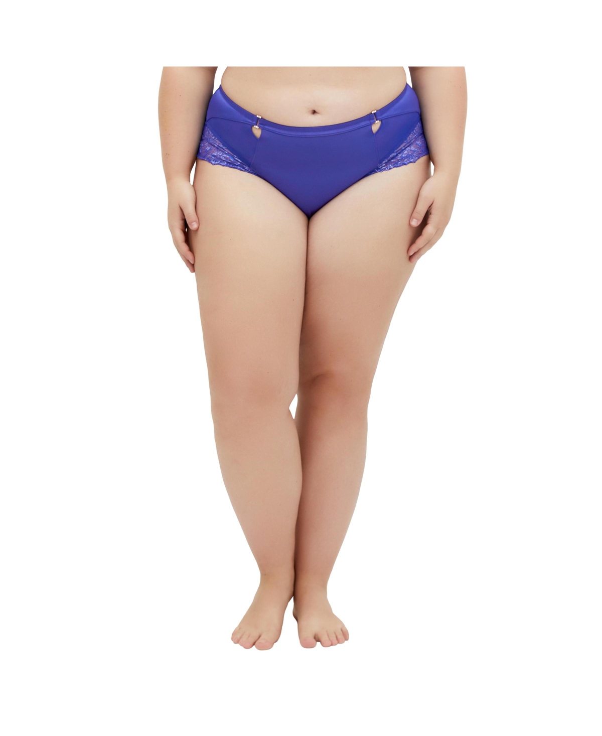 Click here for City Chic Plus Size Renay Hi Brief - Sapphire prices