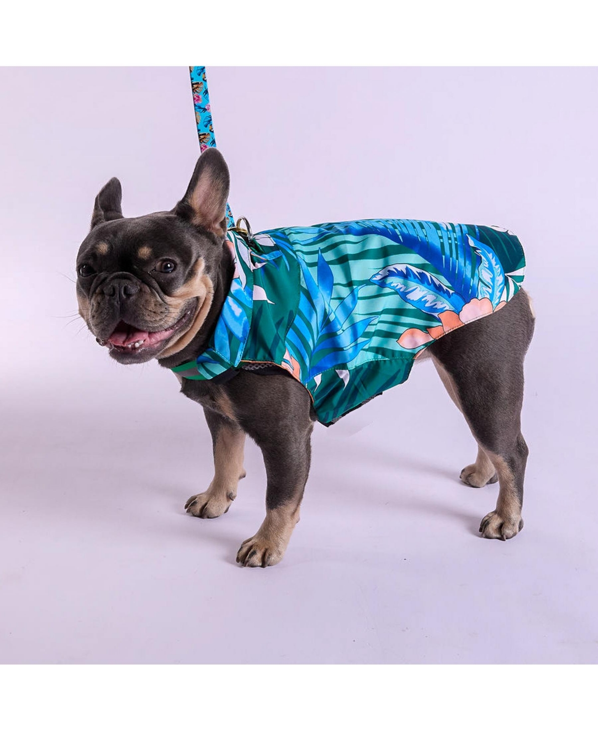 Click here for Tommy Bahama Pet Hawaiian Shirt & Apparel Harness... prices