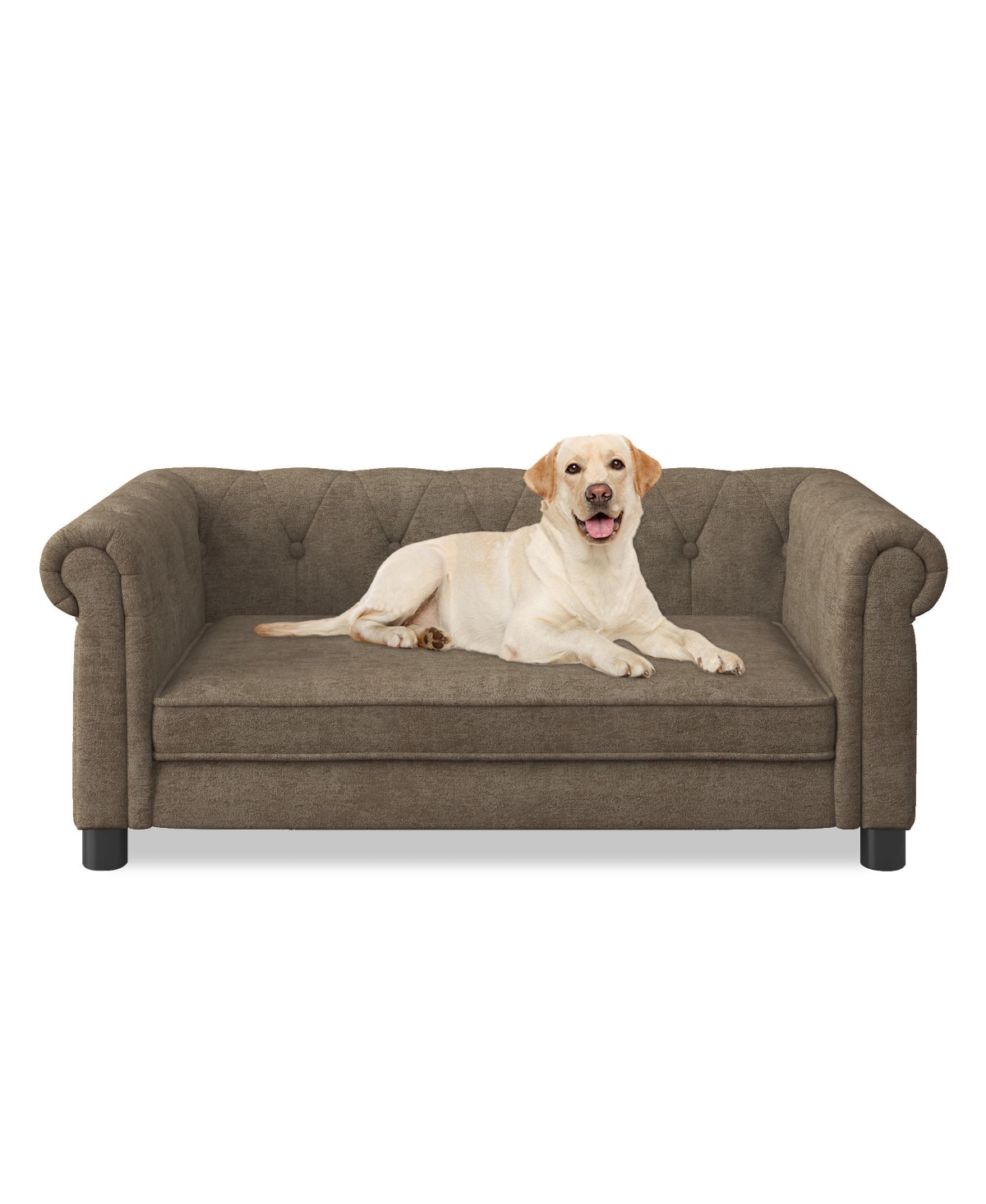 Click here for Aostirmotor Elevated Dog Sofa Bed Linen for Small... prices