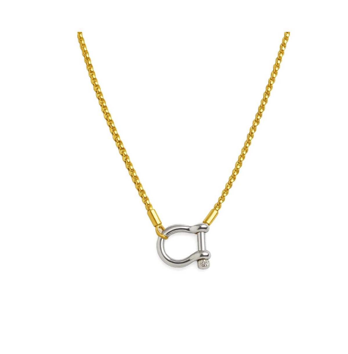 Click here for Lucky Lock Carabiner Necklace – Two-Tone Mi... prices
