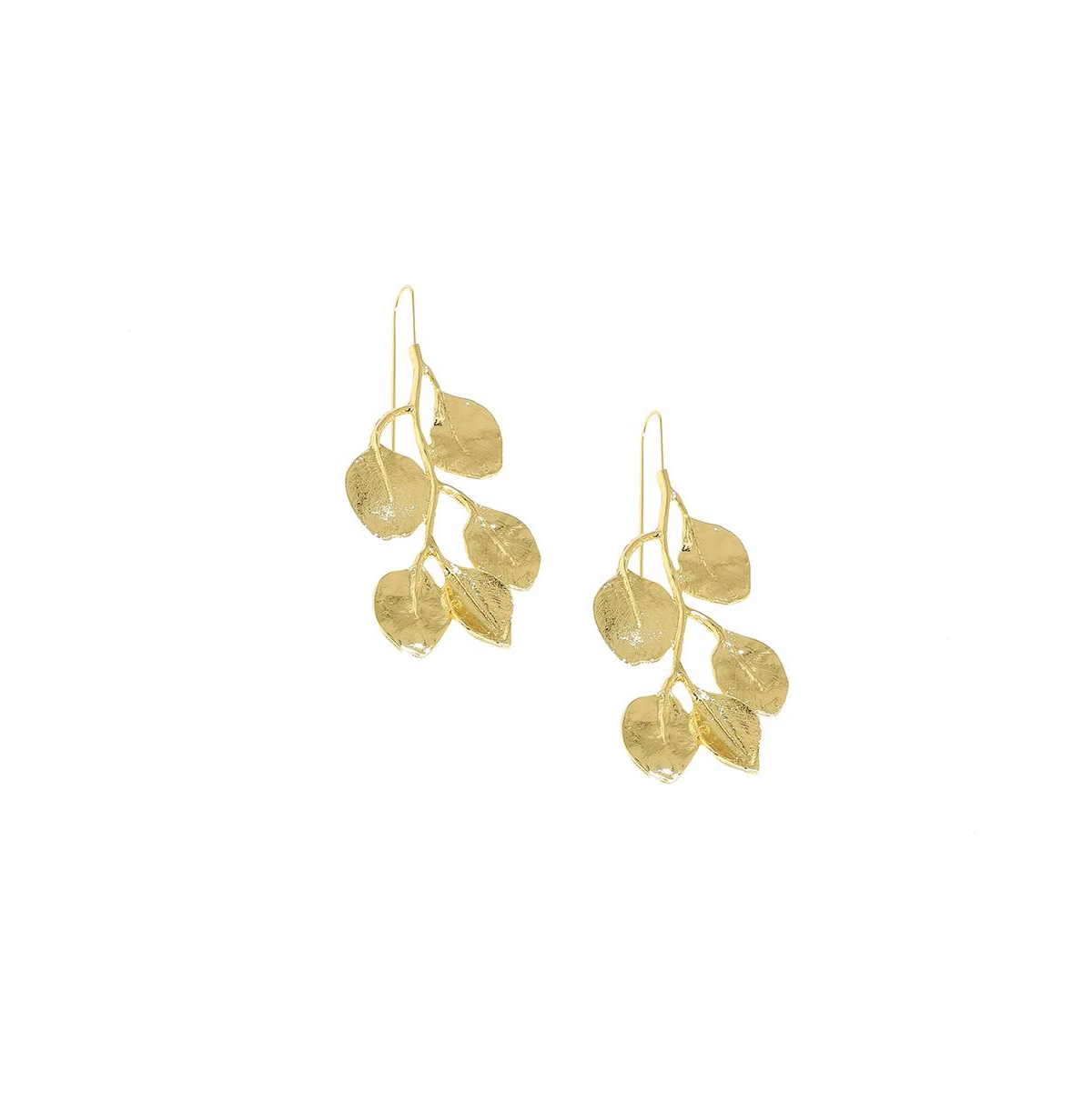 Click here for Sohi Casual Hoop Earrings - Gold prices