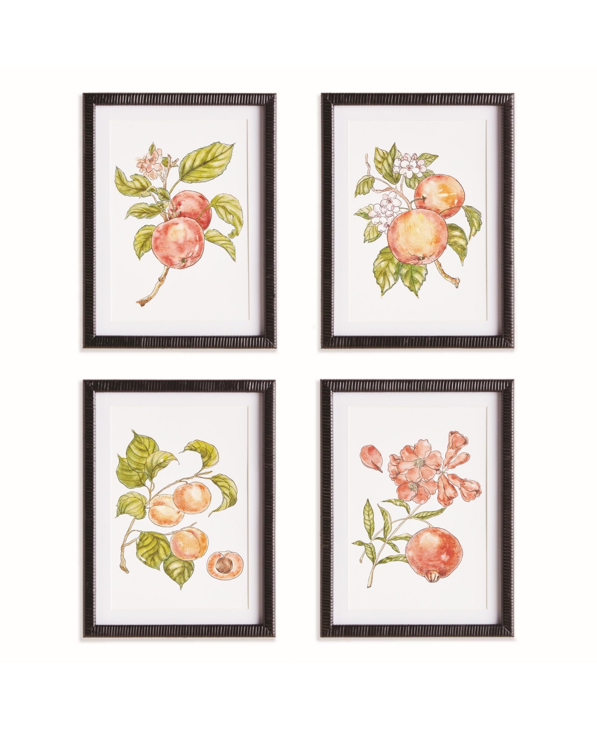 Click here for Autumnal Fruit Prints  Set of 4 - Pink/Orange - Fi... prices