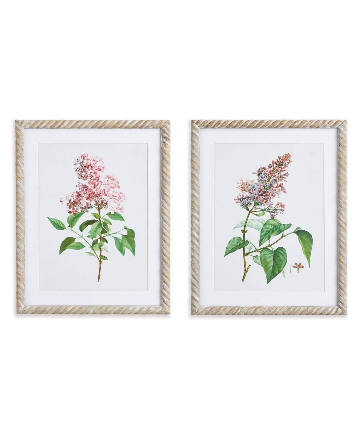 Click here for Lilac Cutting Prints  Set Of 2 prices