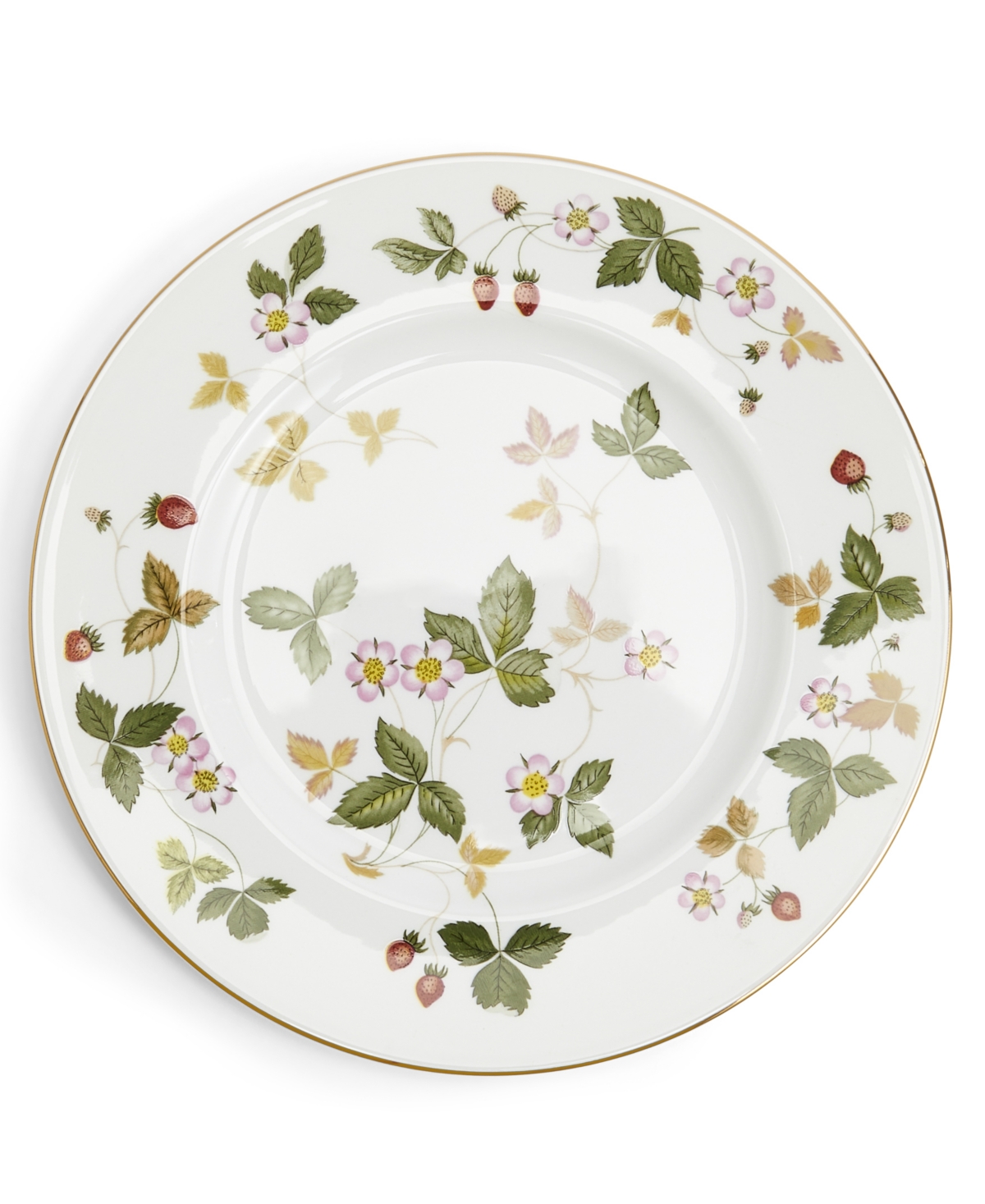 Click here for Wedgwood Wild Strawberry Dinner Plate  10.75 prices