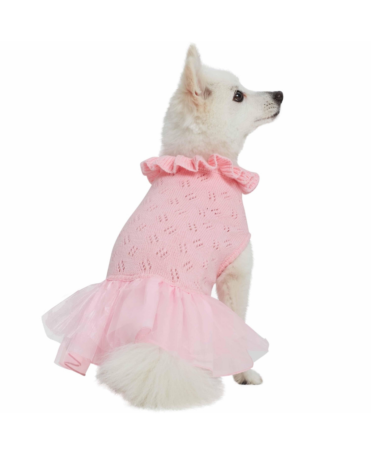 Click here for Blueberry Pet My Cutie Princess Ruffle Collar with... prices