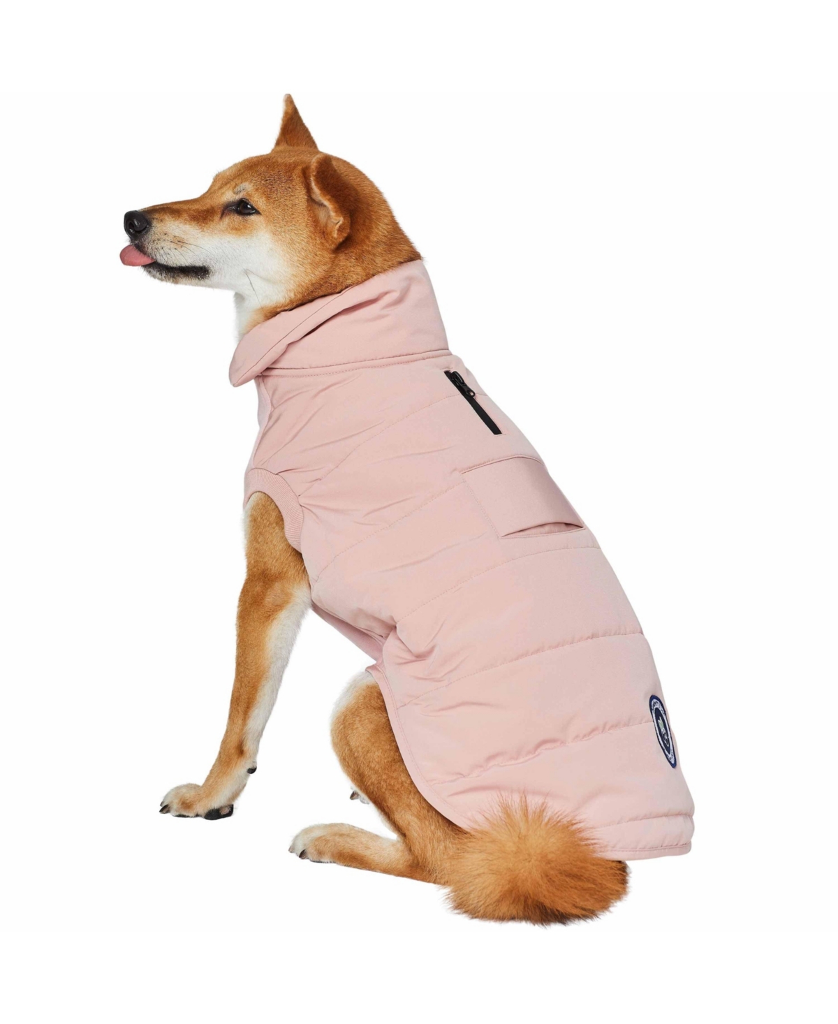 Click here for Blueberry Pet Windproof Waterproof Quilted Dog Puf... prices