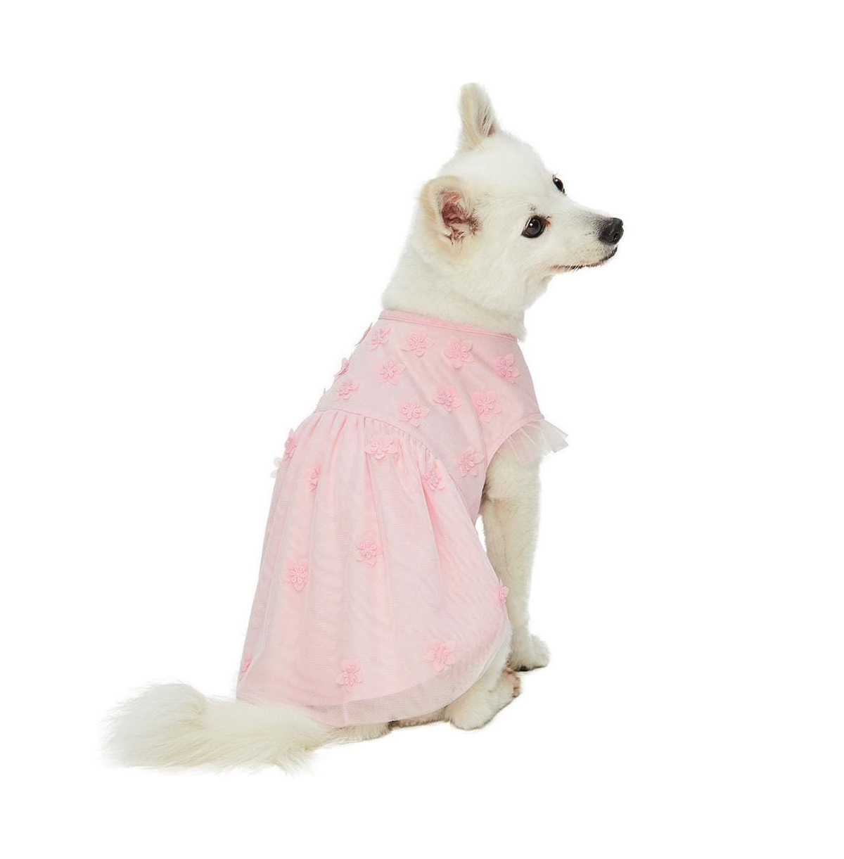 Click here for Blueberry Pet Breton Stripe Dog Dress - Baby pink prices