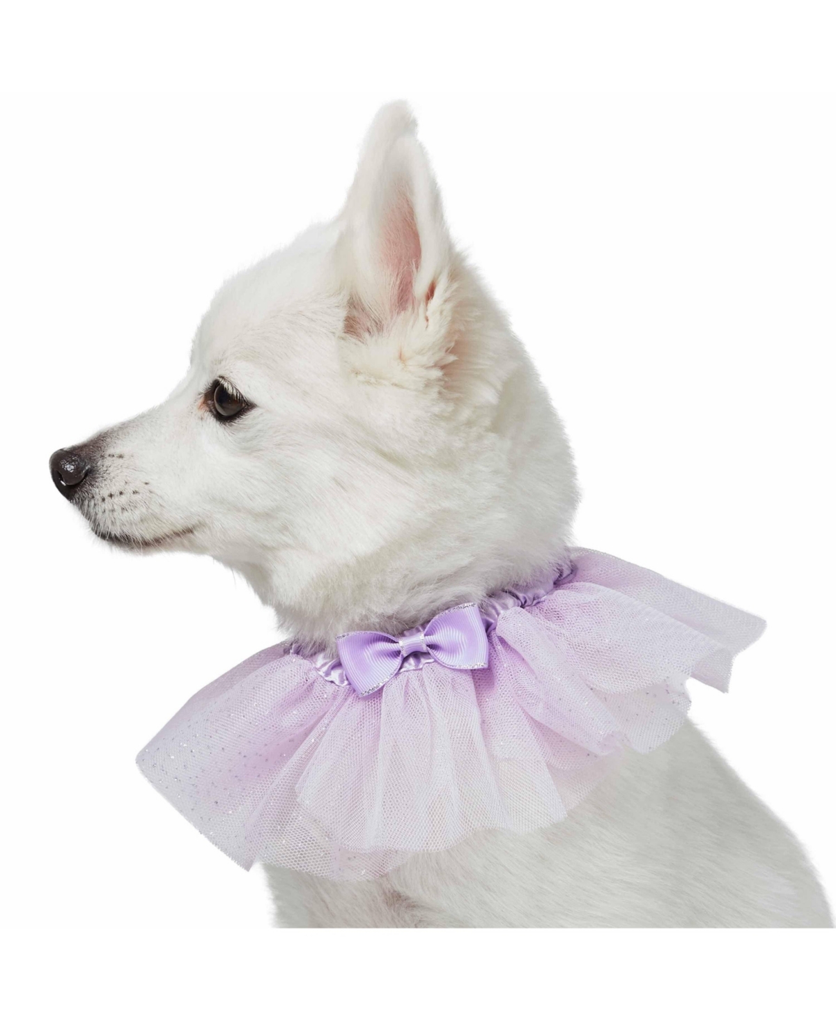 Click here for Blueberry Pet My Little Princess Dog Collar with E... prices