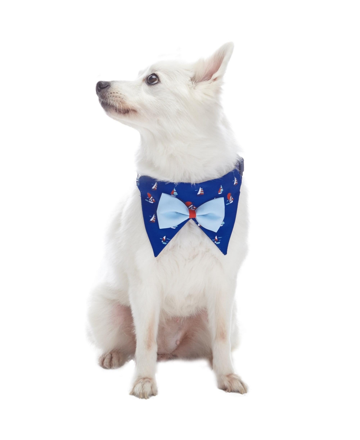 Click here for Blueberry Pet Scottish Bandana Bow Tie Dog Collar... prices