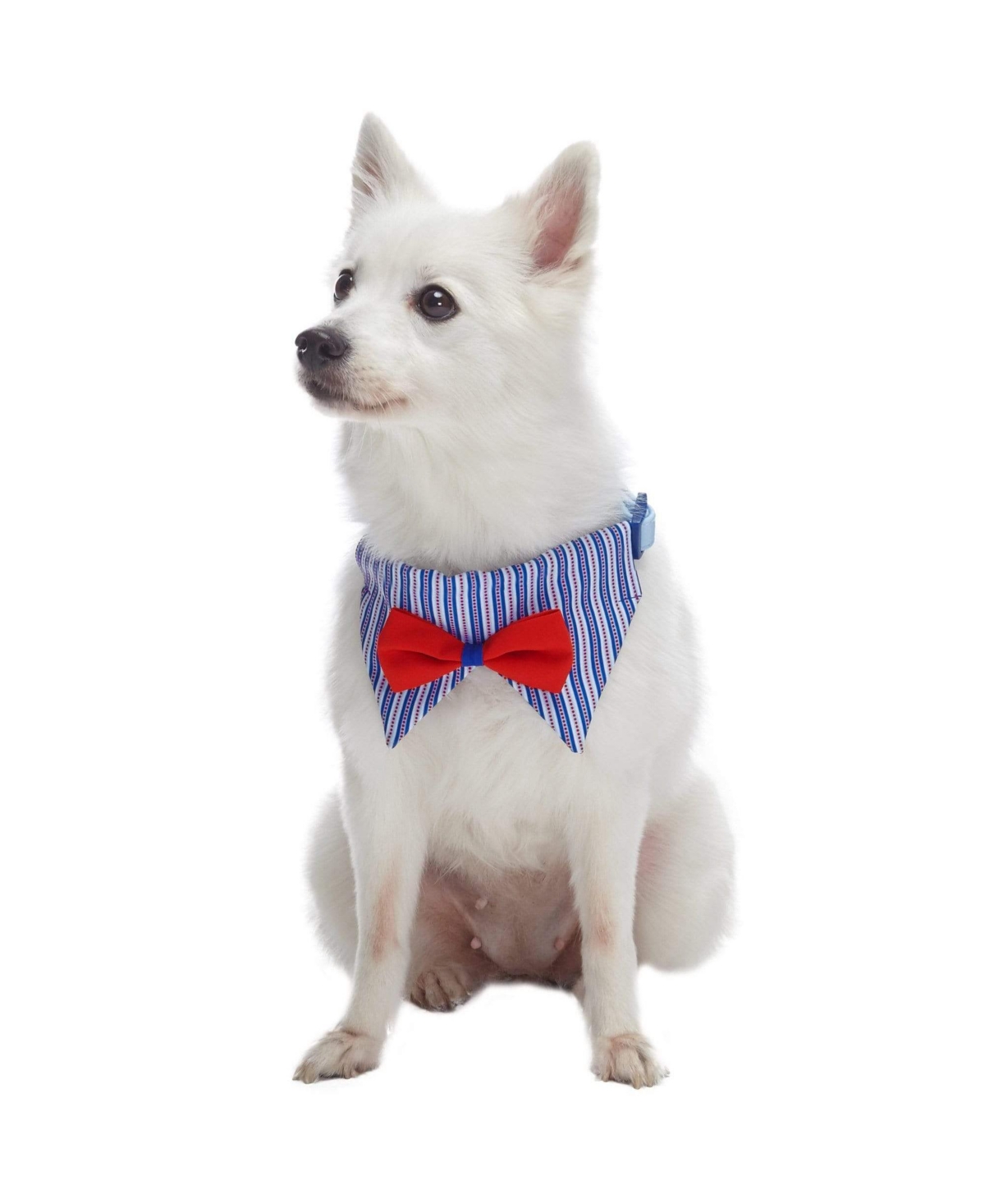 Click here for Blueberry Pet Scottish Bandana Bow Tie Dog Collar... prices