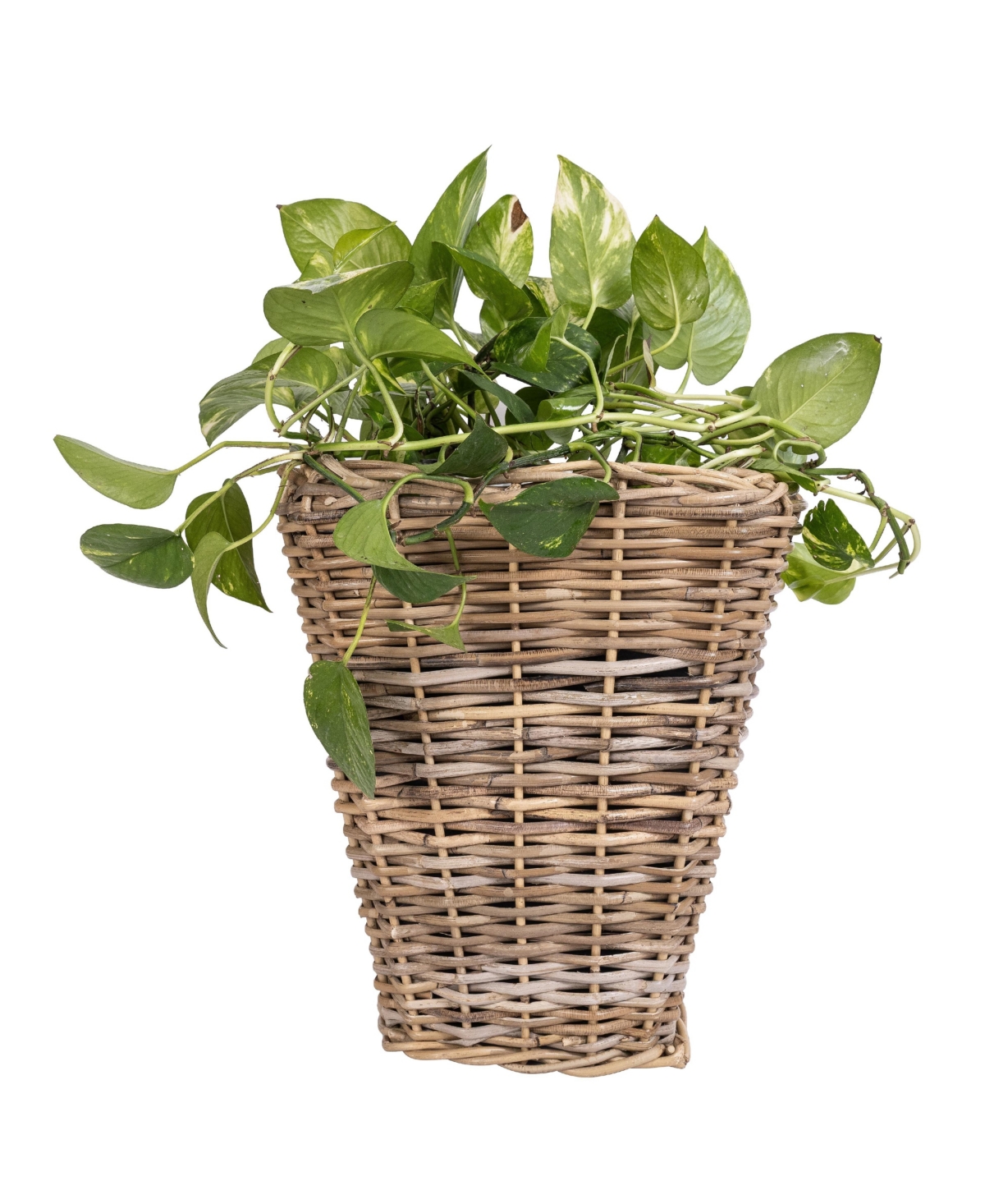 Click here for Artifacts Trading Company Square Tapered Planter w... prices