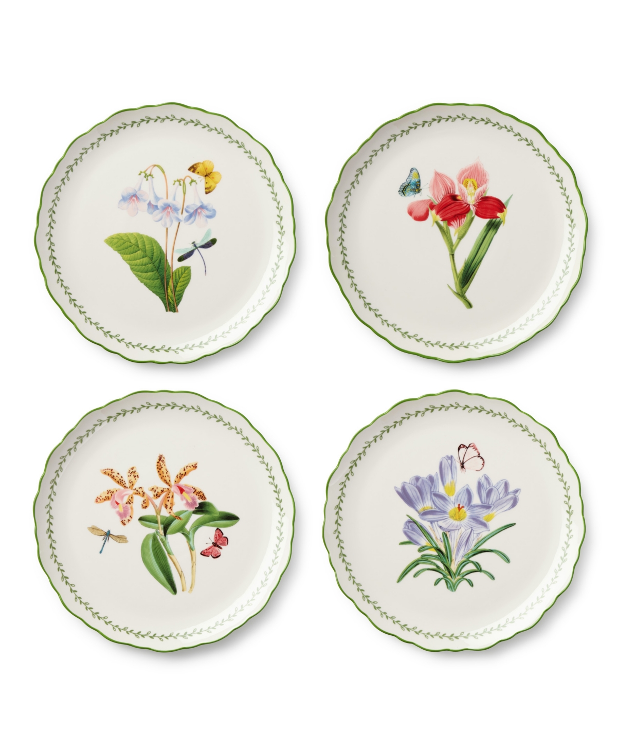 Click here for Certified International Mirabella Dinner Plates  S... prices